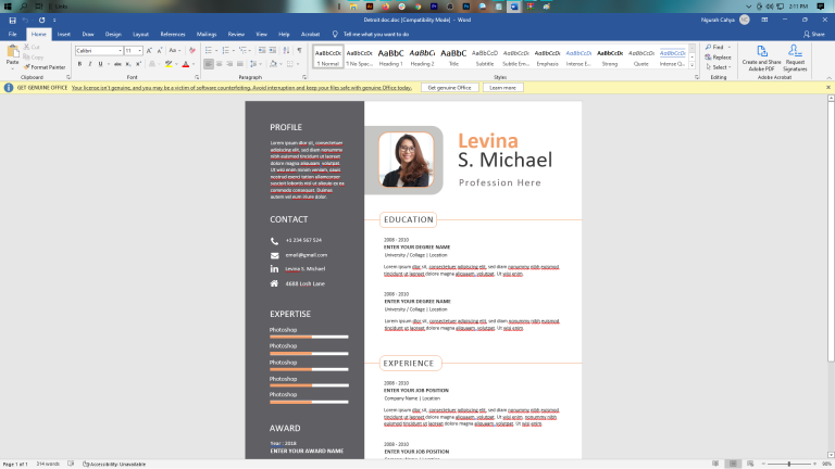 Template CV Detroit - CV Resume Indonesia