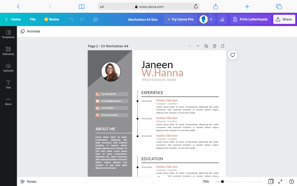 CV Template Manhattan - CVResume.co